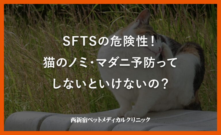 腎臓病を早期発見。新しい血液検査項目SDMAとはどんな検査？ - 西新宿ペットメディカルクリニック【犬猫専門動物病院】骨折、手術、予防接種
